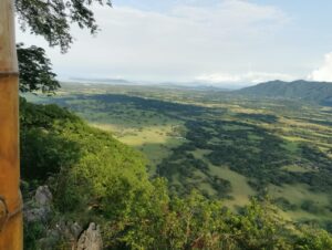 Tropical presenta nueva línea limonadas con vitaminas y antioxidantes ...