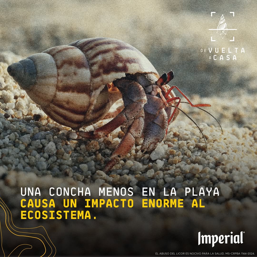 Somos FIFCO – FIFCO